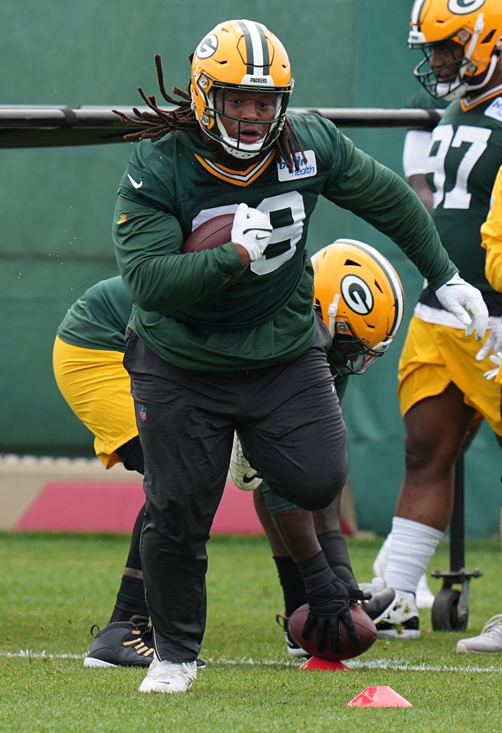 Packers Sign Former Chicago Bears DL Before NFL Season Finale